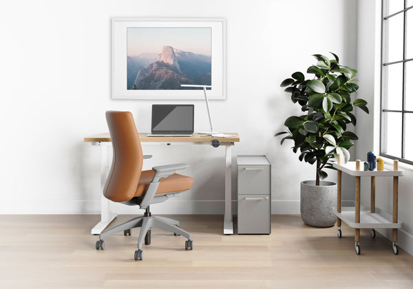 Your Guide to Selecting the Perfect WFH Task Chair – Shop Parron Hall ...