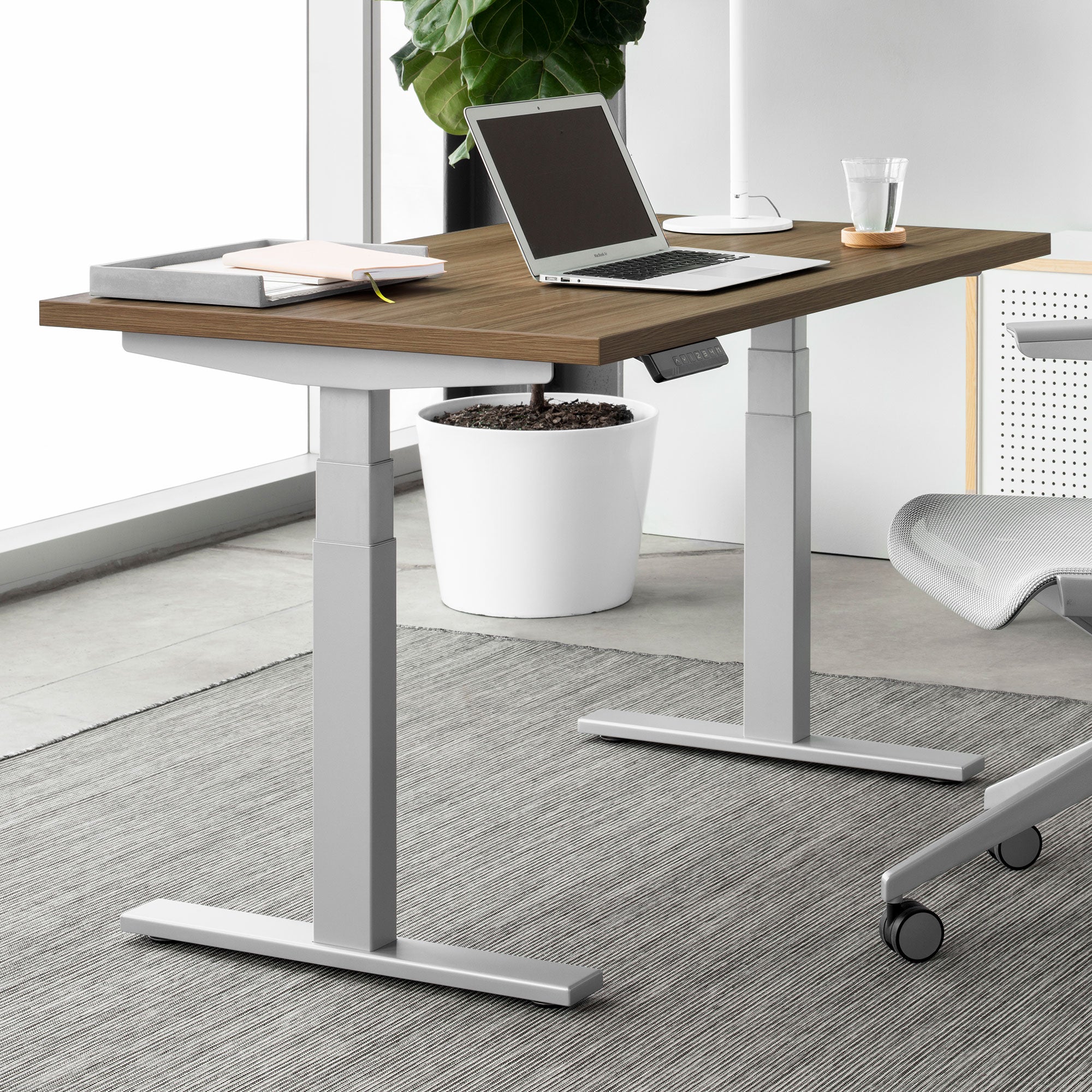 NeoWalnut | 48x24 | Height Adjustable Table – Shop Parron Hall | San Diego